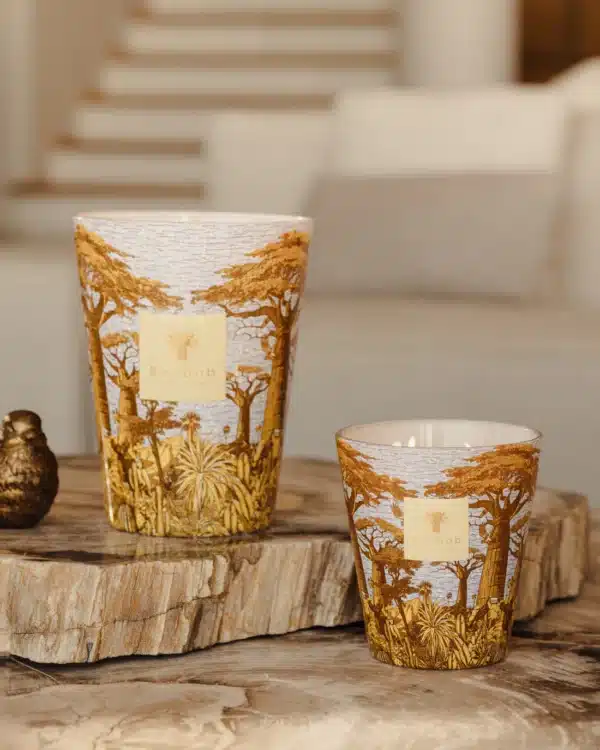 Bougie Baobab Sacred Trees Cocody, Différentes tailles | Baobab ...