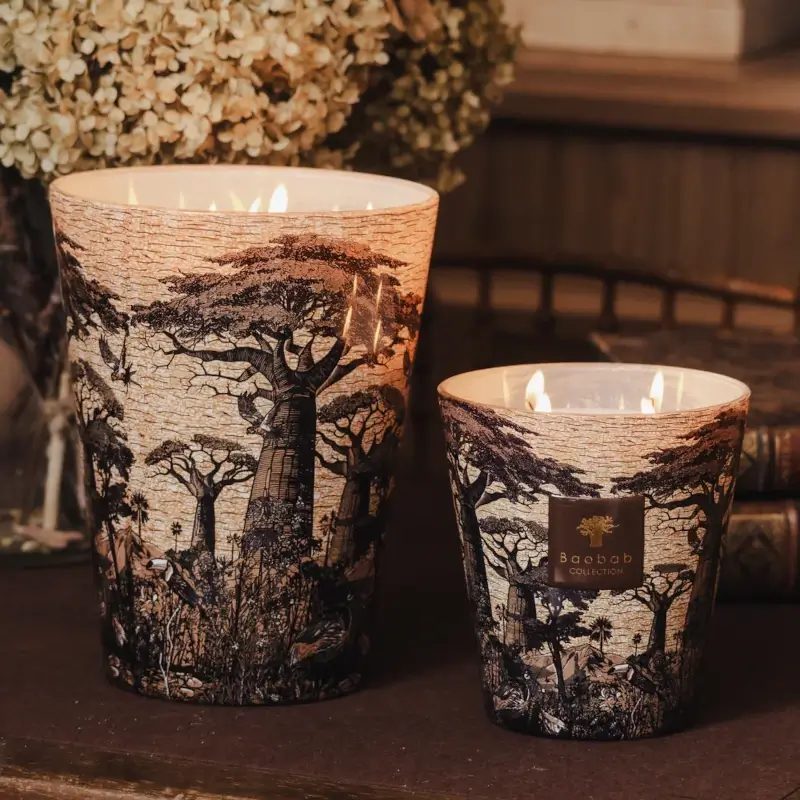 Bougie Baobab Sacred Trees Mankono | Baobab - Maison Saint Sa